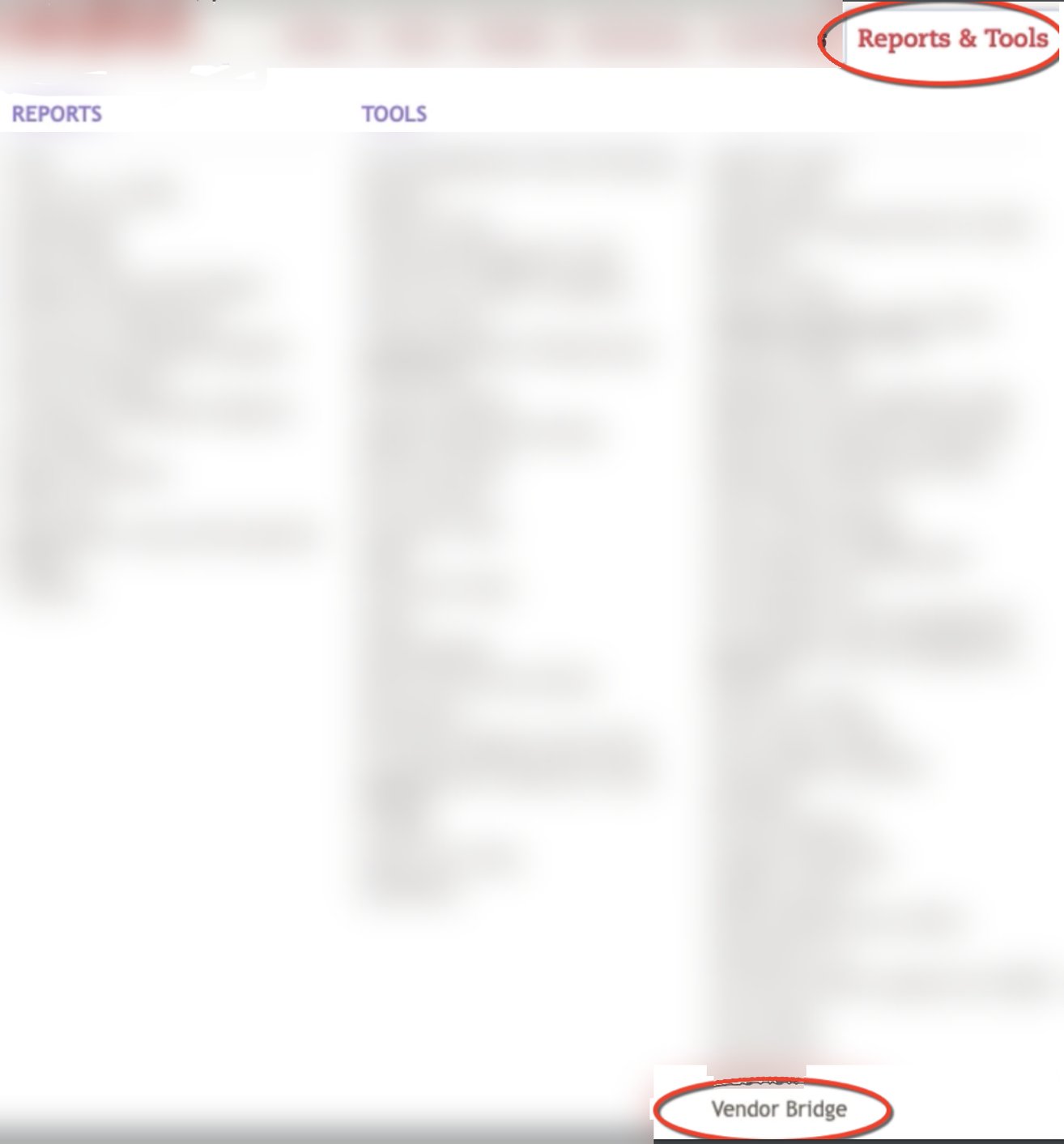 Vendor Bridge Instructions